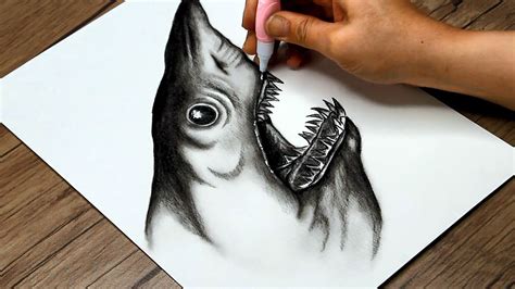 How To Draw A Realistic Shark Step By Step Shark Head Sketch Pencil