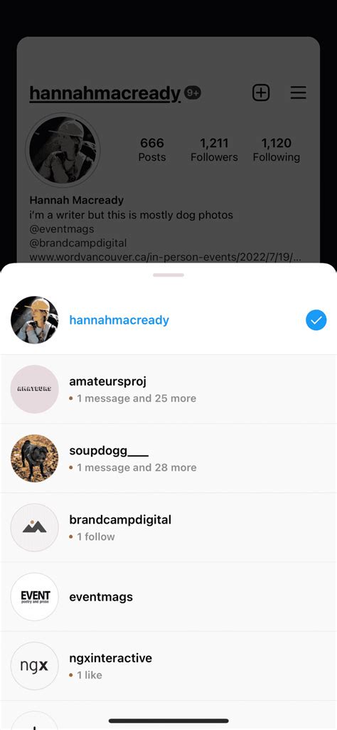 How To Add And Manage Multiple Instagram Accounts One Email