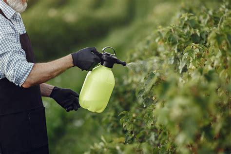 Insecticidas Qué son y cuándo deben utilizarse