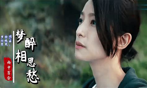 雨中百合一首梦醉相思愁听完满是惆怅勾起了相思之情