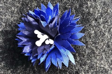 Le Saviez Vous Le Bleuet De France