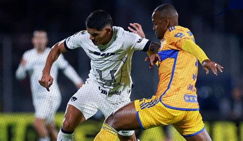 Canal 5 EN VIVO Tigres vs Pumas links y canales de transmisión EN