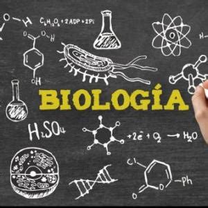 Cabecilla Trivias Juego educativo Biología Mobbyt