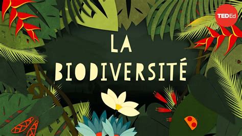 Pourquoi la biodiversité est elle si importante Kim Preshoff YouTube
