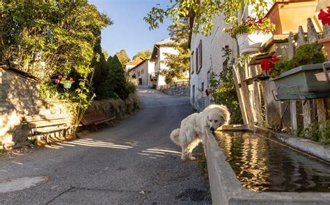 Disparition dÉmile pourquoi lenquête se recentre sur le hameau du