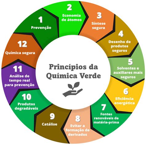 Os 12 princípios da Química Verde propostos por John C Warner e Paul
