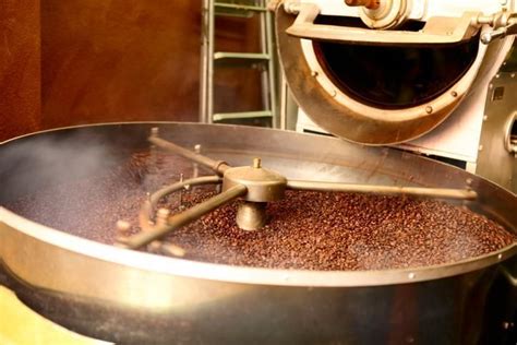 Fabrication du café Du la cerise du caféier au café moulu Doctissimo