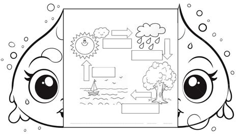 Triorama Del Ciclo Del Agua De Papel Artofit
