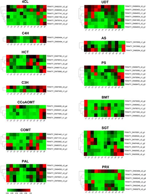 Frontiers Comparative Transcriptomics Unveil The Crucial Genes