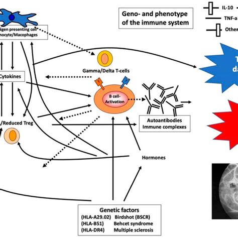 Schematic Representation Of The Pathophysiology And Influencing Factors
