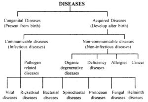 Human Health And Disease Class 12 Notes Biology Chapter 8