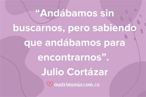 55 Frases De Amor Bonitas Para Mi Novia