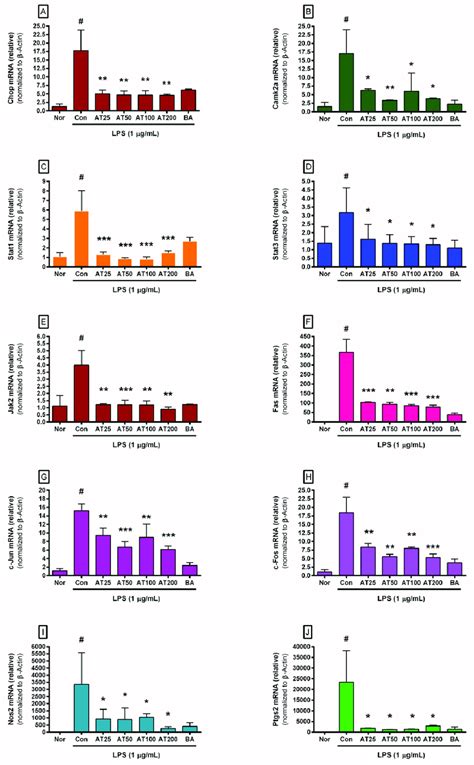 Effects Of AT On MRNA Expression Levels Of Chop A Camk2a B Stat 1