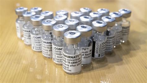 Richiamo Vaccino Covid O Dose Unica L Immunologo Cossarizza La
