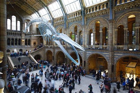 The Very Best Museums In New York City