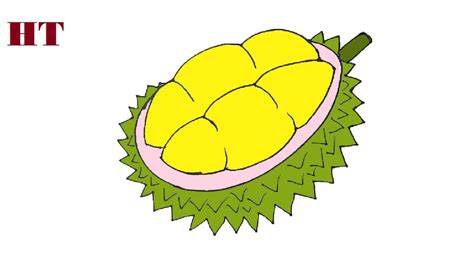 Durian Fruit Drawing