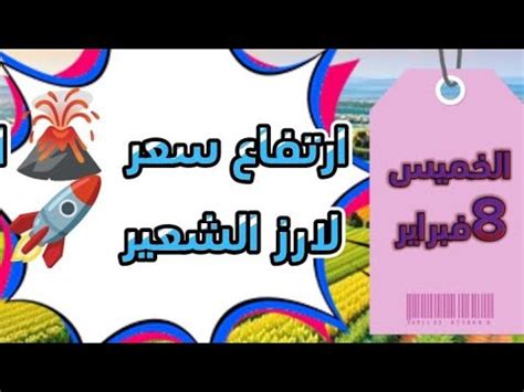 الخميس 8فبراير ارتفاع سعر الارز والدولاروالذهب وثبات الذرة الصفراء