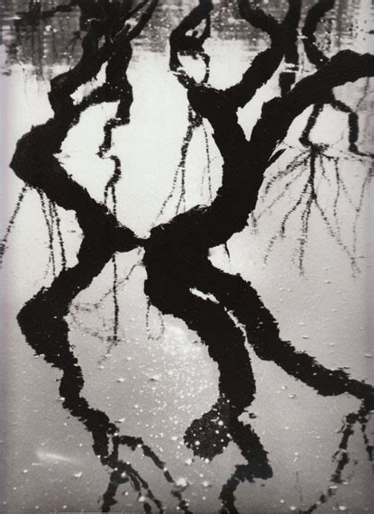 Lucien Clergue Artist News Exhibitions Photography Now