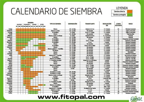 Planifica Tu Huerta Con El Calendario De Siembra En Permacultura