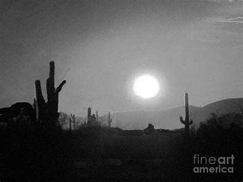 Arizona Desert In Moonlight Photograph By Merton Allen Pixels