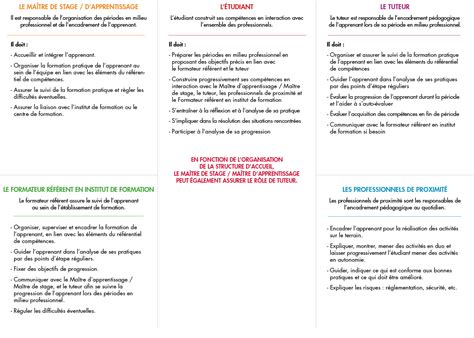 Exemple De Projet Professionnel Aide Soignante Module 5 Aide