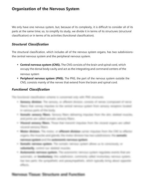 Solution Nervous System Anatomy And Physiology Nurseslabs Studypool