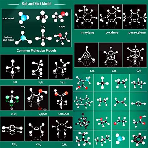 EXBEPE Organic Chemistry Molecular Model Kit 206pc Middle High School