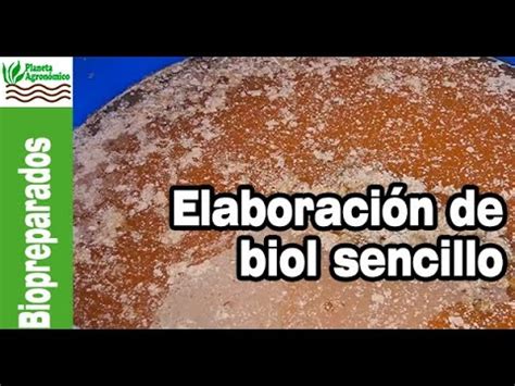 Taller De Elaboraci N De Biol Sencillo Como Biofertilizante Para