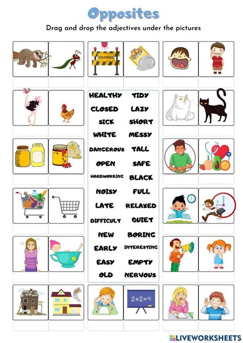 Ejercicio Online De Opposites Para Pre Intermediate Actividades