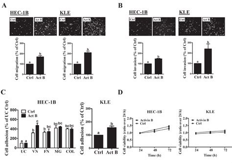 Activin B Increases Endometrial Cancer Cell Migration Invasion And