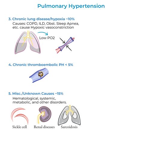 Clinical Pathology Glossary Pulmonary Hypertension Ditki Medical