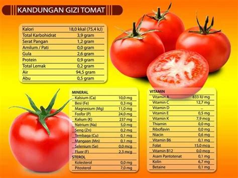 Gizi Tomat Homecare24