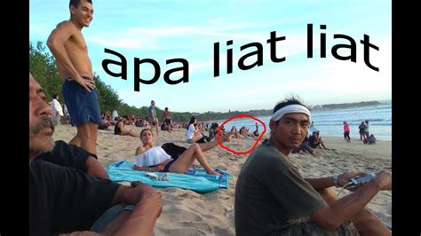 Foto Bule Berjemur Di Pantai Bali 43 Koleksi Gambar