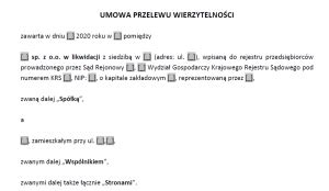 Cesja Wierzytelno Ci Na Wsp Lnika Przy Likwidacji Sp Z O O Pcc Pit
