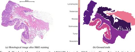 figure 1 from spatially coherent clustering based on orthogonal nonnegative matrix factorization