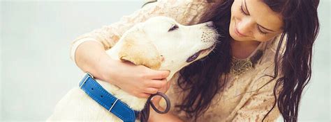 Se Puede Castrar A Un Perro Sin Extirpar Los Test Culos