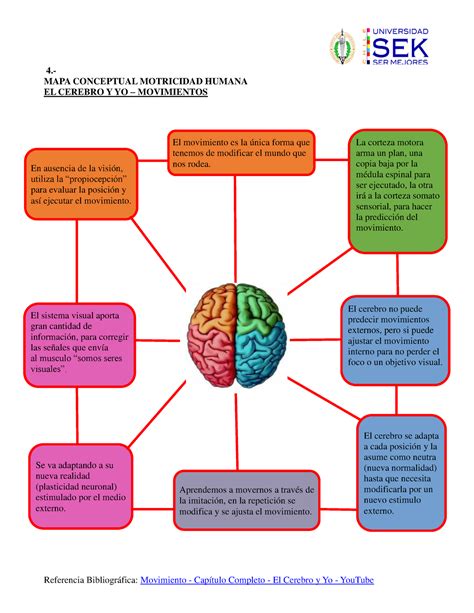 Top Imagen Mapa Mental Del Cerebro Humano Viaterra Mx