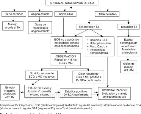 PDF Guías clínicas para el manejo del infarto agudo del miocardio con