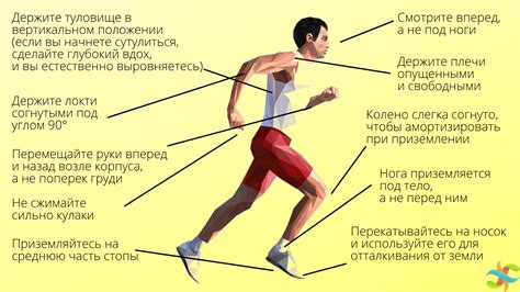 Бег по лестнице какие мышцы работают 92 фото
