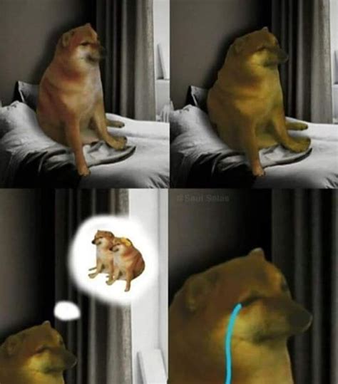 Sad Cheems Meme Subido Por NoSoyUnCrito Memedroid