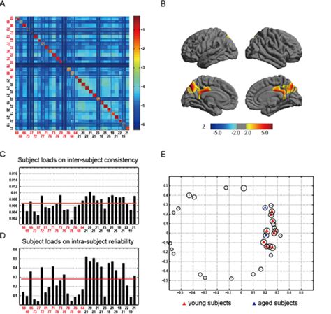 novel approach for neuroimaging data mining generalized ranking and averaging independent