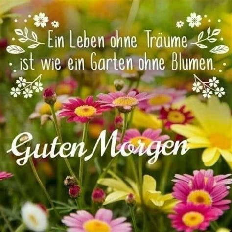 Pin von Amanda Schmierer auf Guten morgen Guten morgen blumen Schöne
