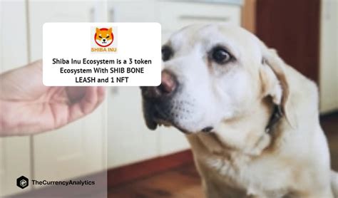 Shiba Inu Ecosystem Is A 3 Token Ecosystem With SHIB BONE LEASH And 1