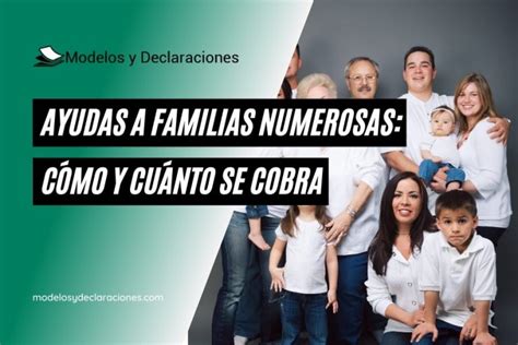 Ayudas a familias numerosas cómo cuándo y cuánto se cobra 2025