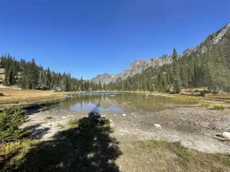 10 Best Off Road Driving Trails In Cle Elum AllTrails