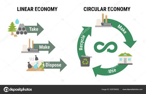 Comparison Linear Circular Economy Infographic Scheme Product Life