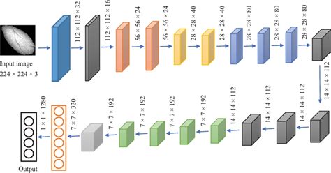 schematic representation of the efficientnet b0 cnn implemented for the download scientific