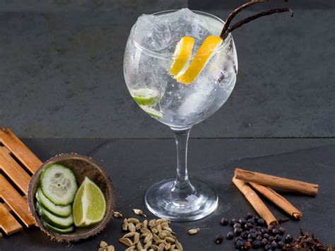 Drink gin confira combinação de especiarias que combinam muito bem