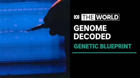 decoding the human genome hot sex picture