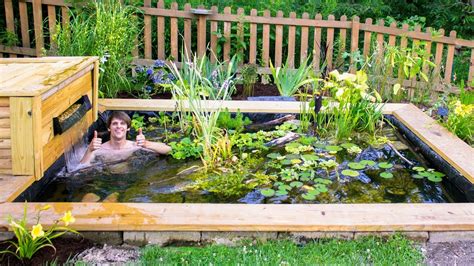 Adding Fish To The DIY Pond YouTube
